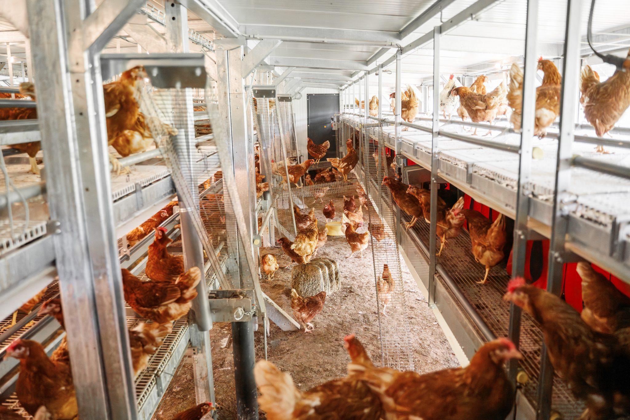 Mobile barn from farmermobil