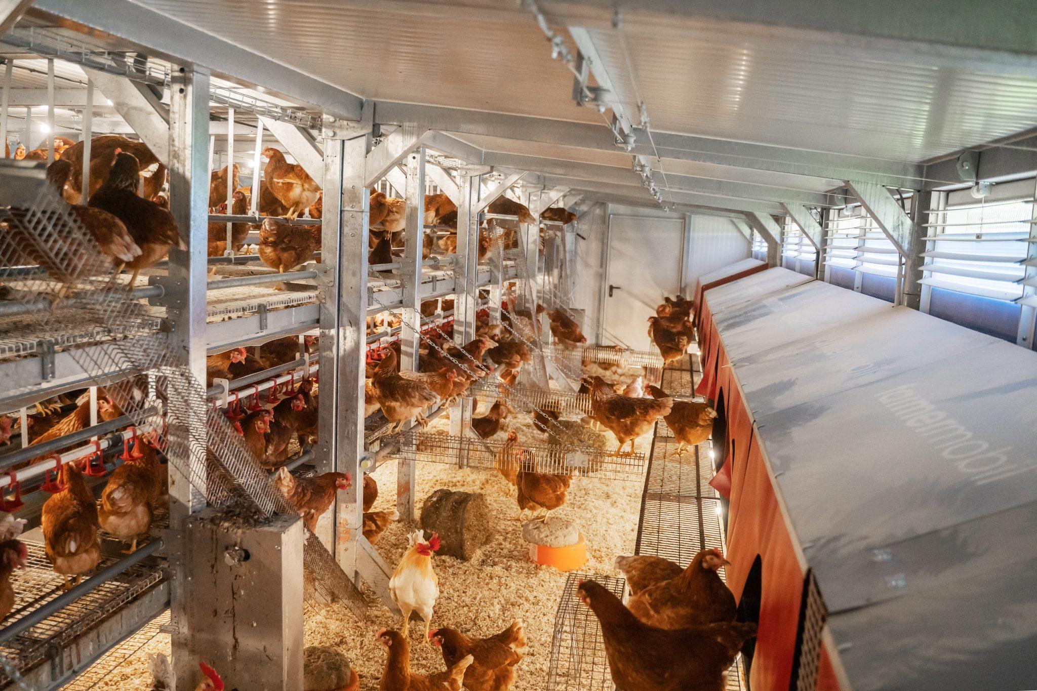 The mobile stable with innovative stable technology