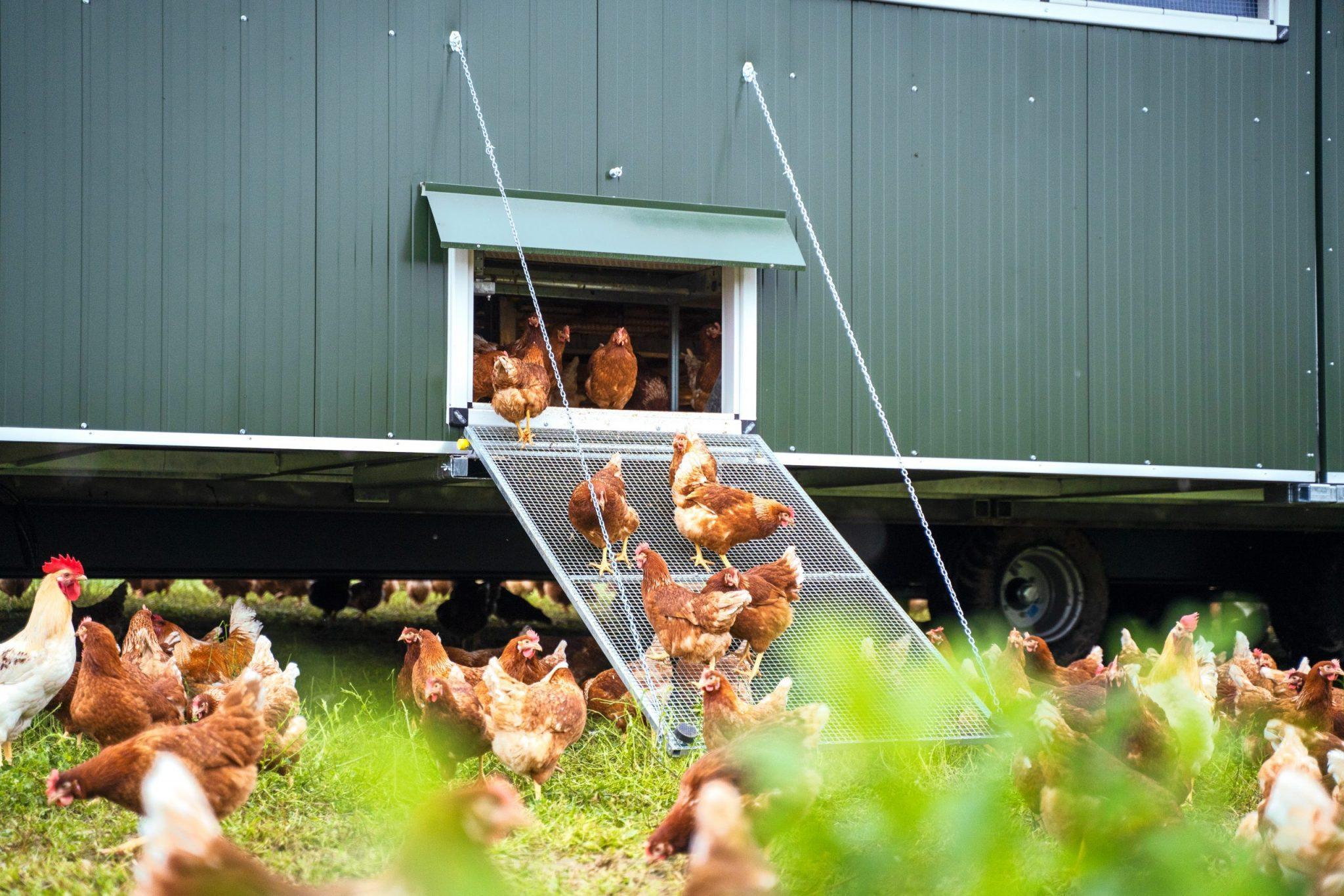 NEW! Lateral outlet flaps on the STARTER series