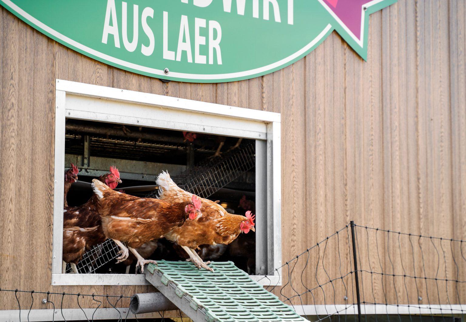 The mobile stable with innovative stable technology