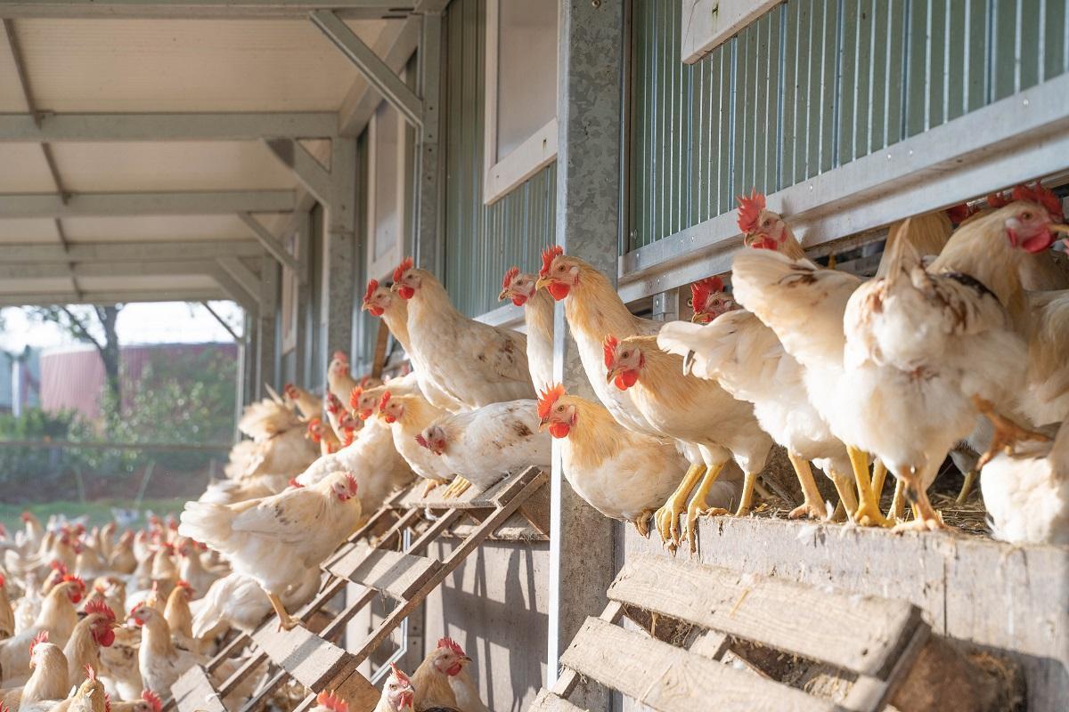 Mobile barn from farmermobil
