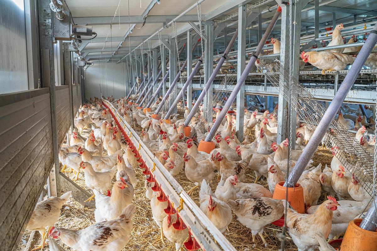 Mobile barn from farmermobil